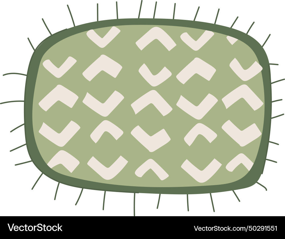 Stripe boho rug cartoon Royalty Free Vector Image