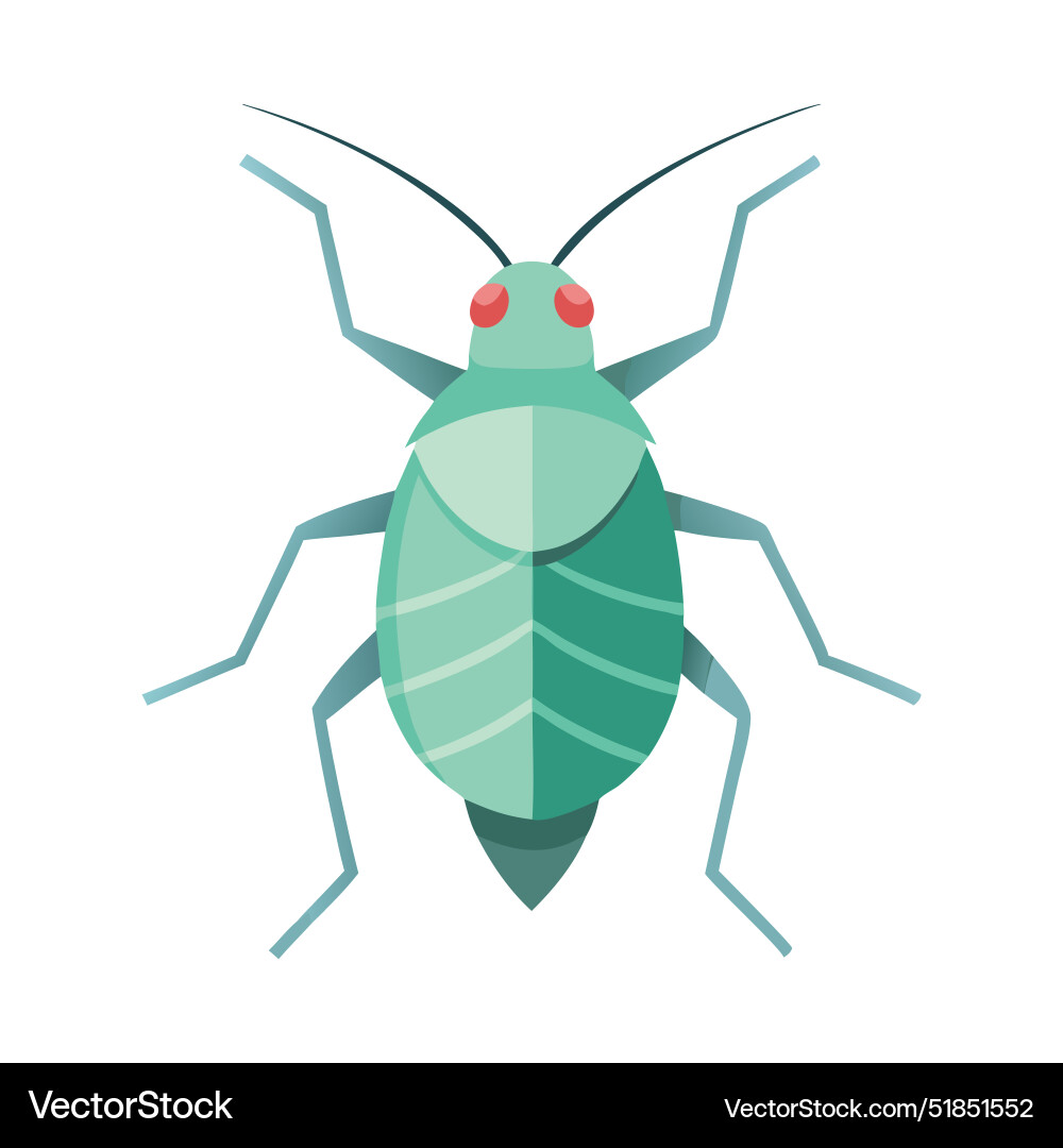 Aphid insect flat on white background Royalty Free Vector