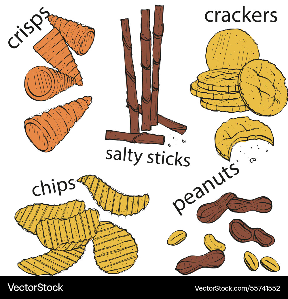 Collection of tasty snacks Royalty Free Vector Image