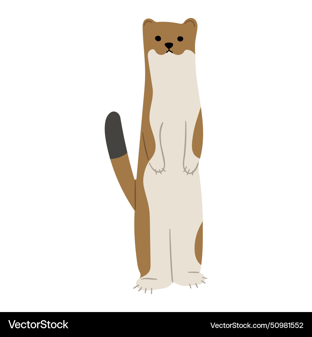 Stoatsermine and weasels cute 7 Royalty Free Vector Image