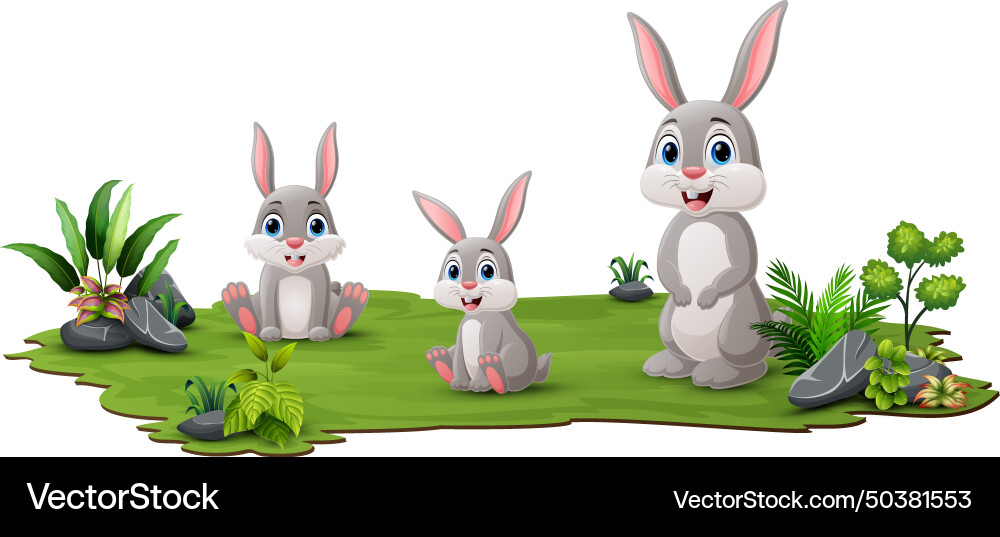 Cute three rabbits cartoon in the jungle Vector Image
