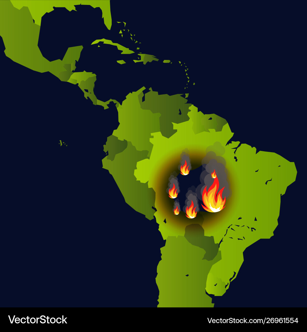 Amazon Rainforest Fire Disaster Royalty Free Vector Image