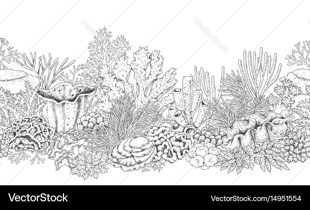 Coral reef line horizontal pattern Royalty Free Vector Image
