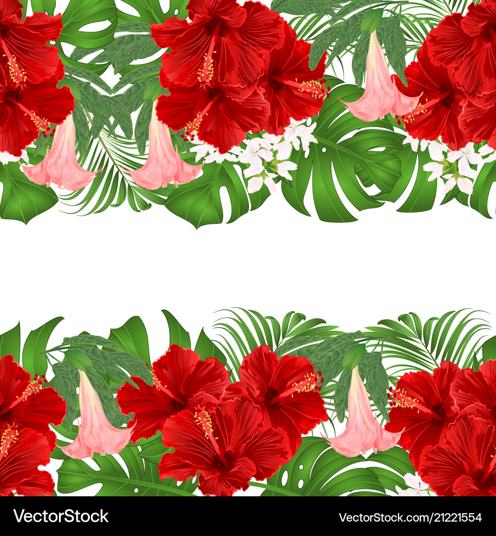 Floral border seamless background horizontal Vector Image