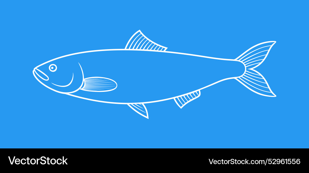 Herring Royalty Free Vector Image - VectorStock