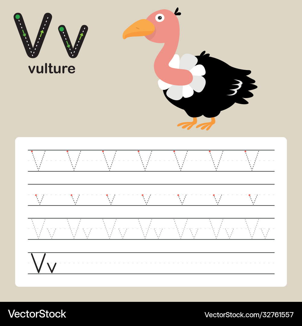 V vulture alphabet learning english vocabulary Vector Image