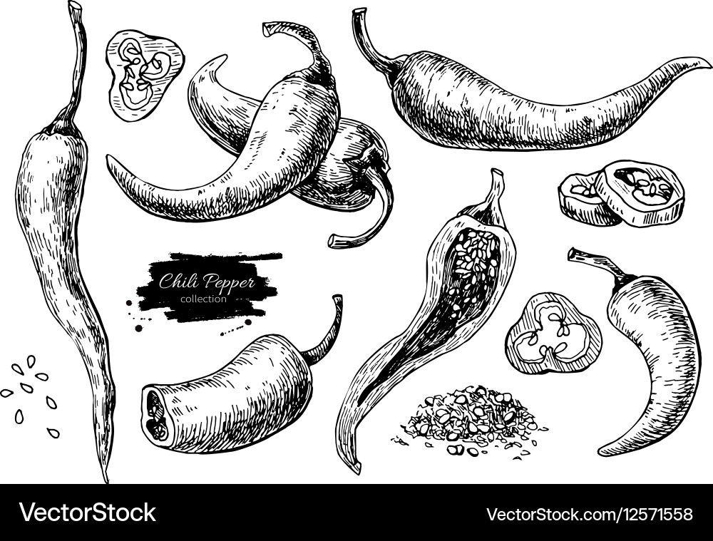 Crushed Chili Peppers Vector Images (over 160)