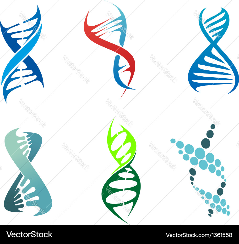 Dna and molecules Royalty Free Vector Image - VectorStock