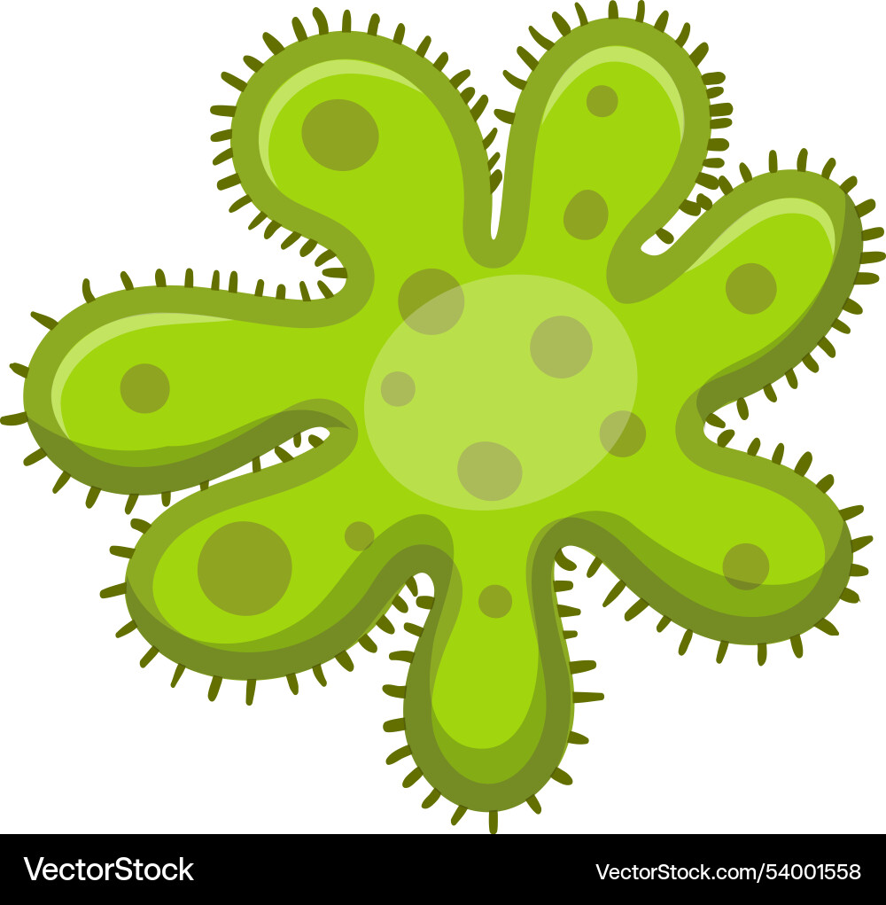 Green bacteria with nucleus and cilia multiply Vector Image