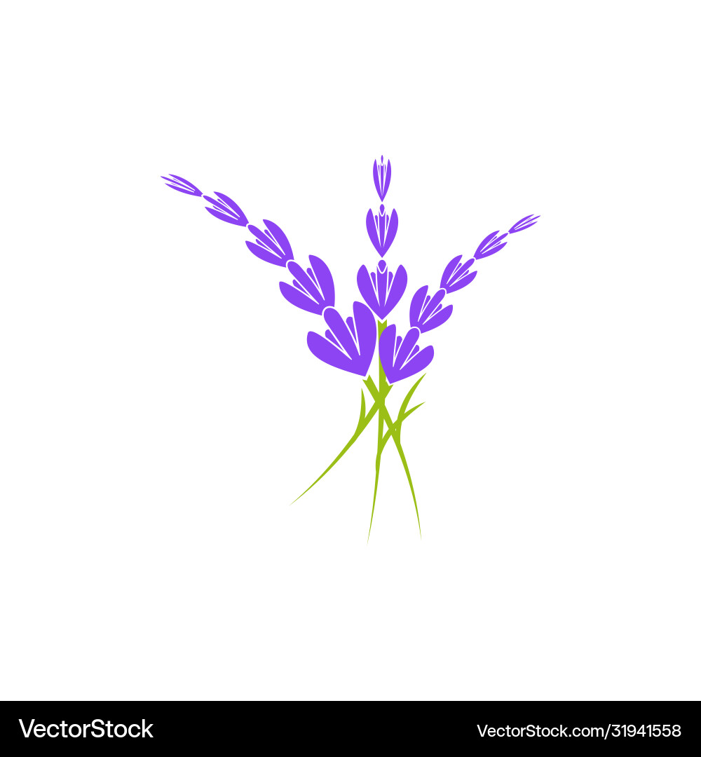 Lavender flower icon Royalty Free Vector Image