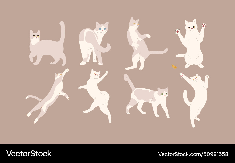 White cat 10 Royalty Free Vector Image - VectorStock