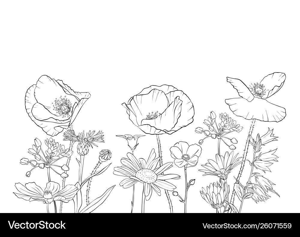 Drawing flowers Royalty Free Vector Image - VectorStock