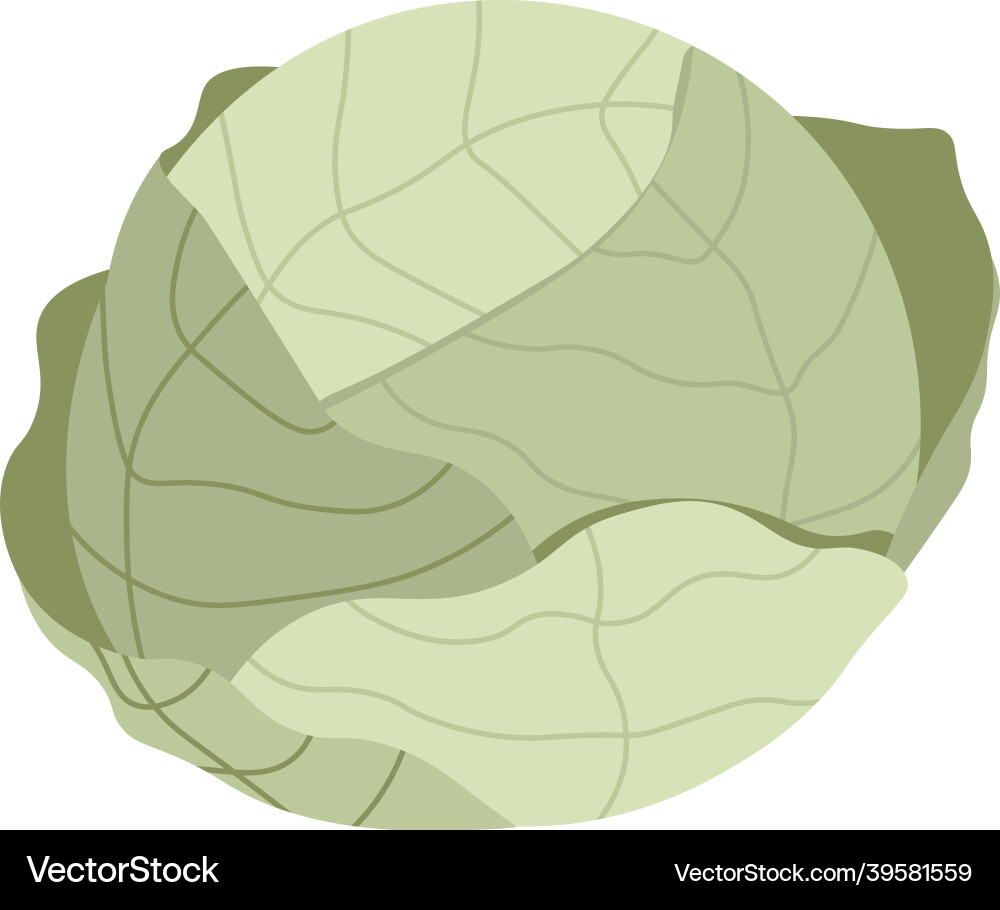 Kohl gesunde Bio-Produkt Gemüse Lizenzfreies Vektorbild