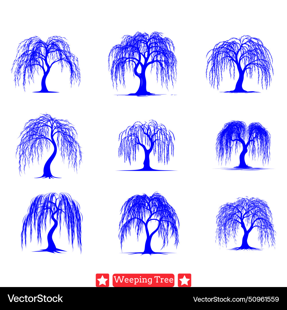 Majestic weeping willow collection serenity Vector Image