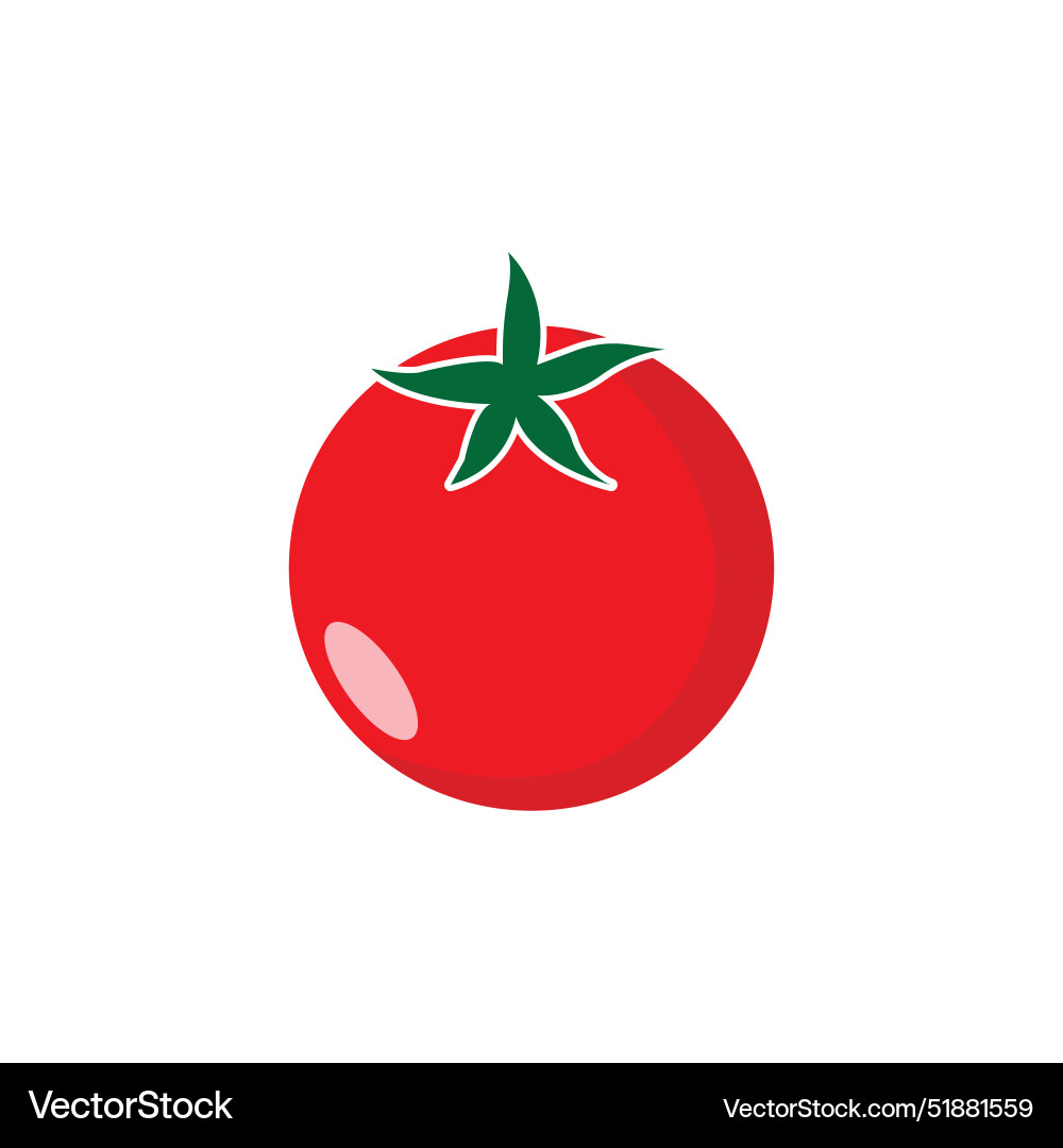 Tomato Royalty Free Vector Image - VectorStock