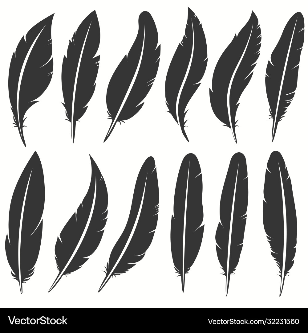 Bird feather icon writing symbol fallen fluffy Vector Image