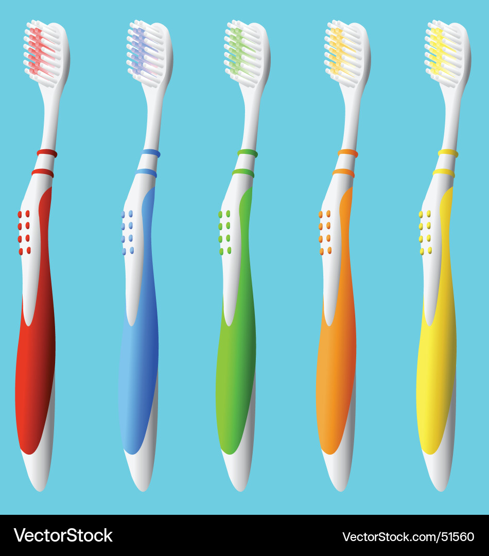 Colorful Set of Toothbrushes Royalty Free Vector Image