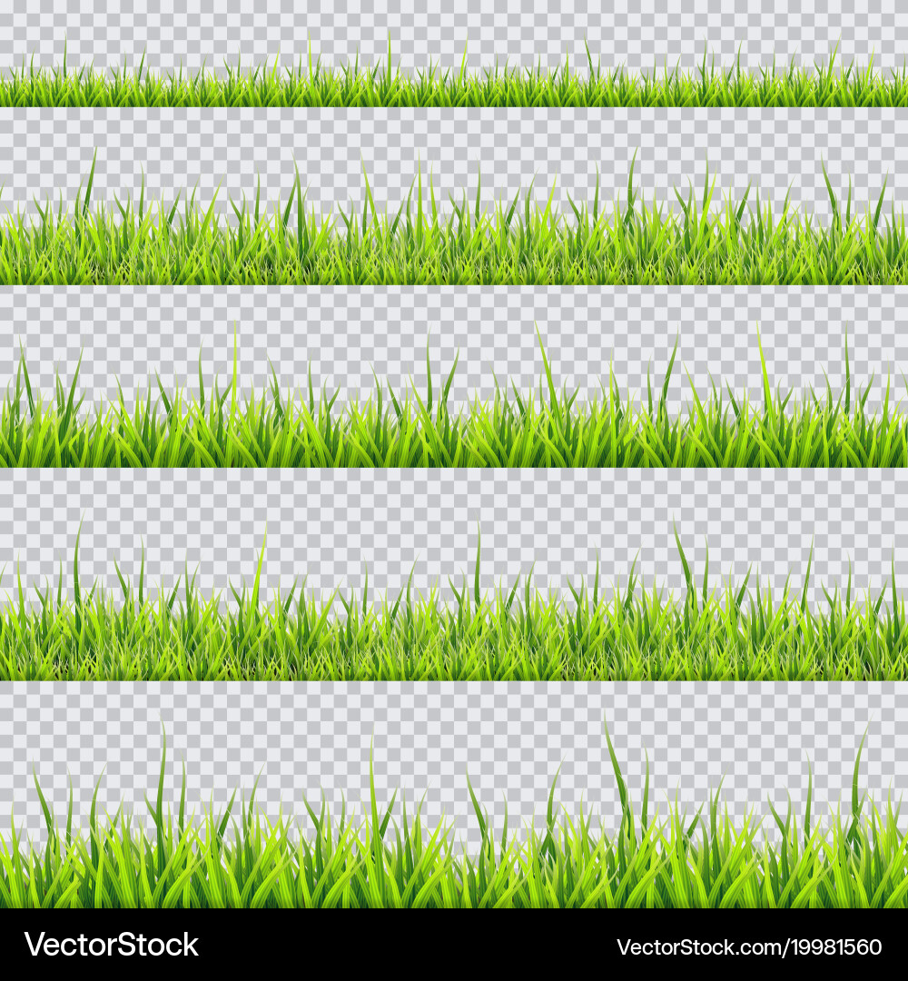 Grass border collection Royalty Free Vector Image