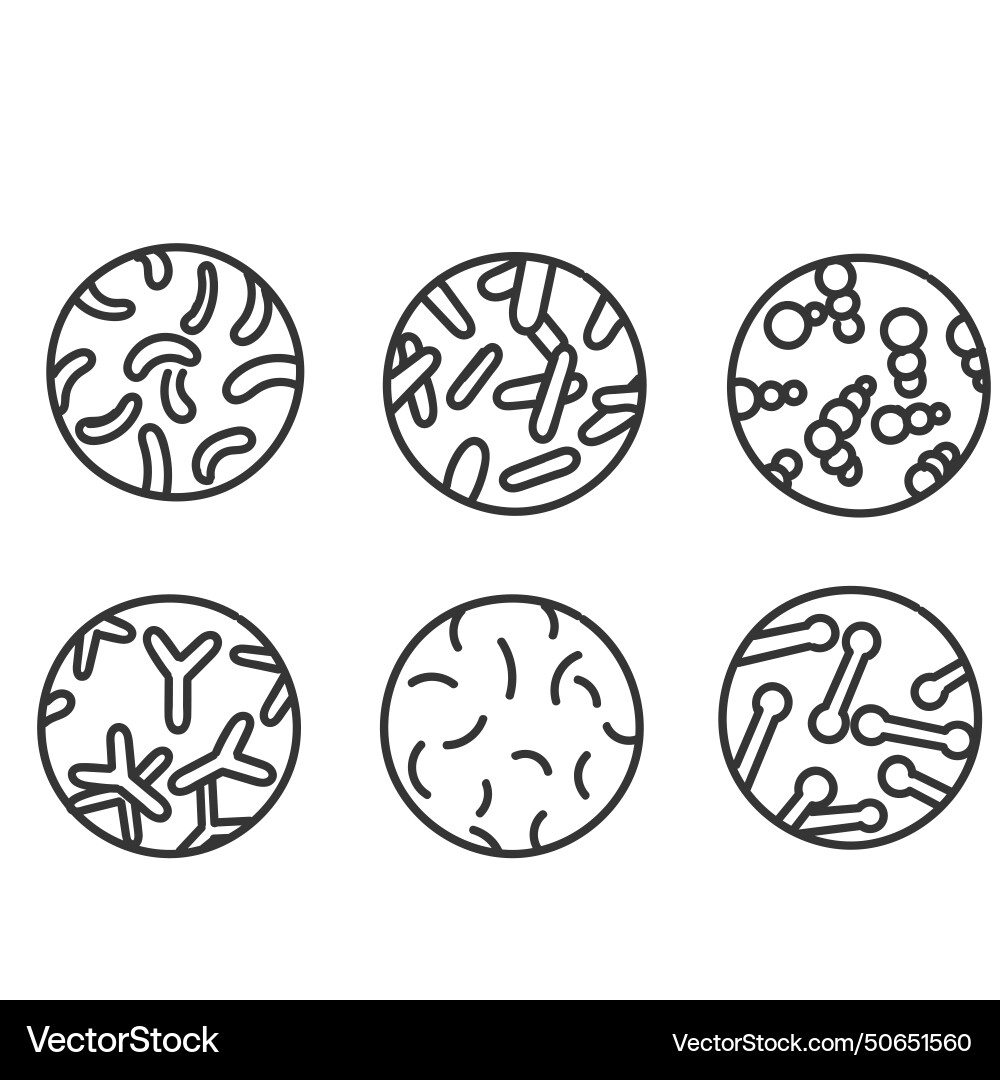 Hand drawn doodle microbes bacteria probiotics Vector Image