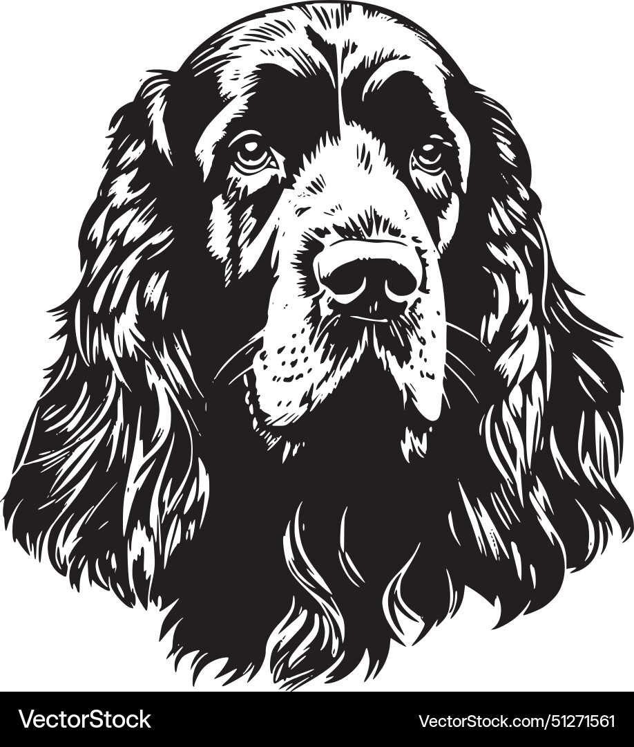 Cocker spaniel - high quality logo ideal Vector Image