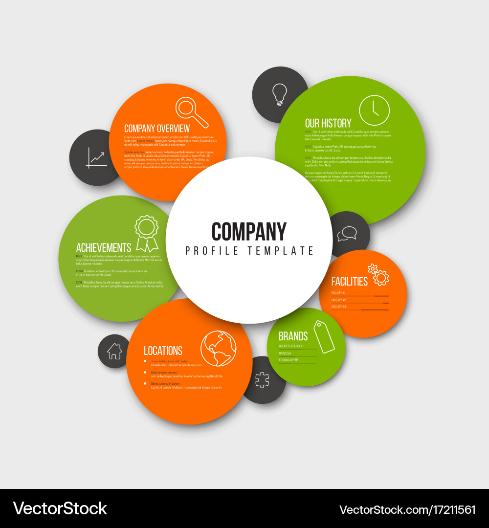 Company infographic overview design template Vector Image