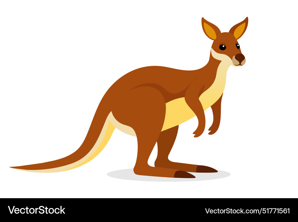 Kangaroo animal flat on white background Vector Image