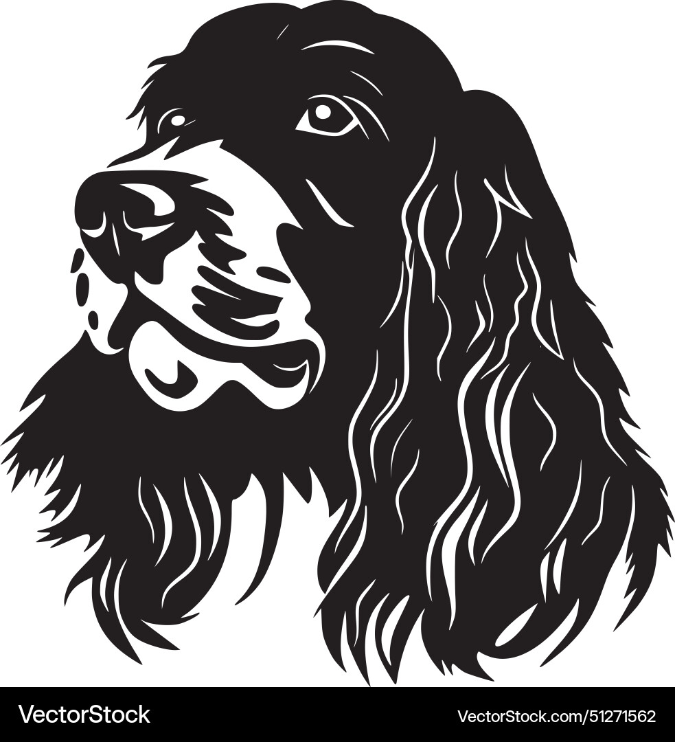 Cocker spaniel - black and white Royalty Free Vector Image