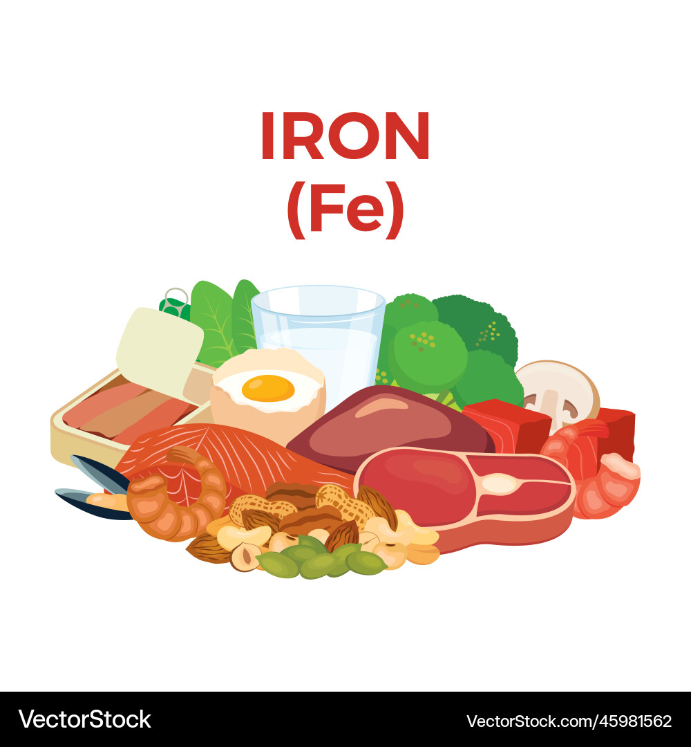 Iron fe in food icon set Royalty Free Vector Image