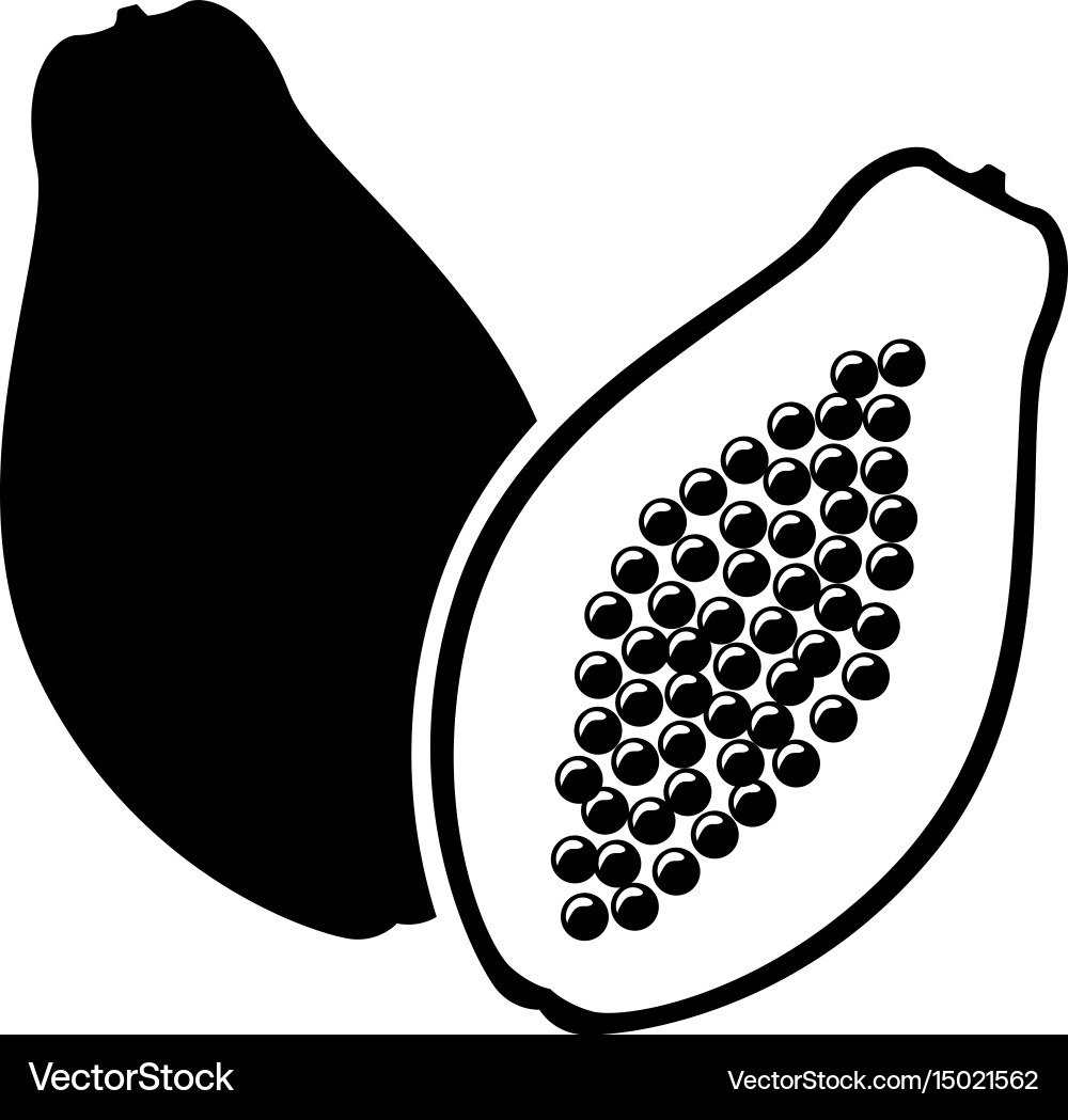 Papaya fruit image Royalty Free Vector Image - VectorStock
