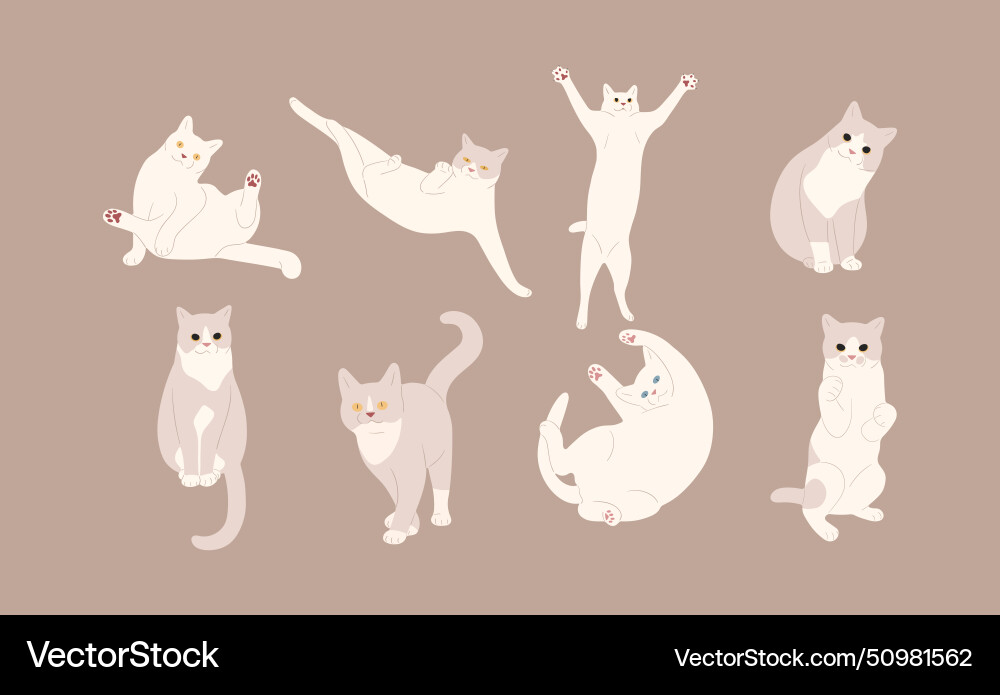 White cat 14 Royalty Free Vector Image - VectorStock