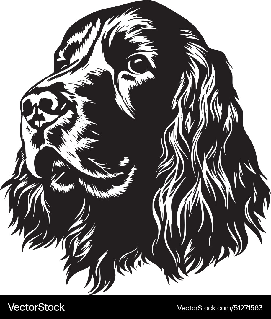 Cocker spaniel - high quality logo ideal Vector Image