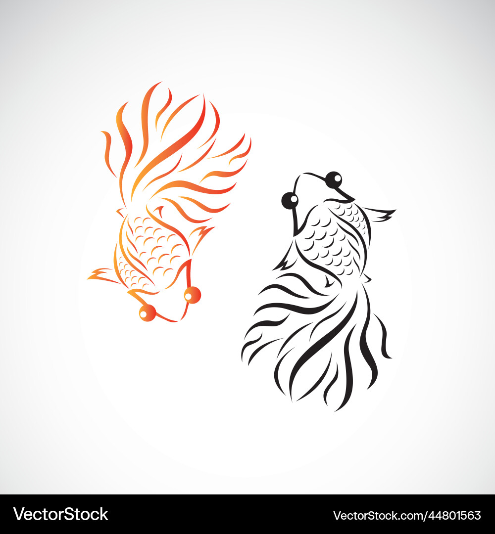 Goldfish design on white background pet animals Vector Image