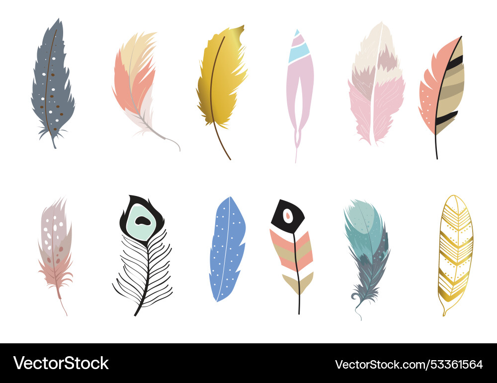 Cute feather object Royalty Free Vector Image - VectorStock