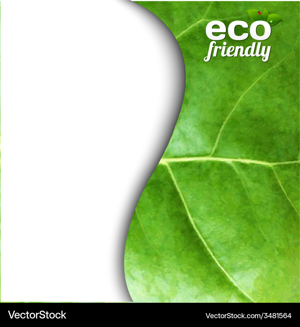 Leaf poster Royalty Free Vector Image - VectorStock