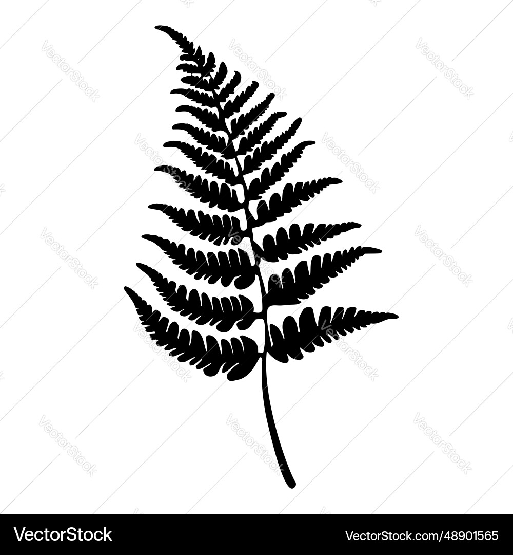 Fern Leaf Silhouette Royalty Free Vector Image
