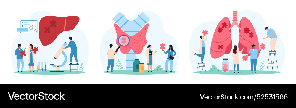 Internal organs health care protection by tiny Vector Image