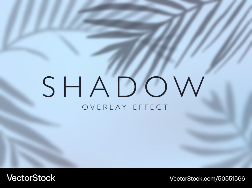 Shadow overlay effects background Royalty Free Vector Image