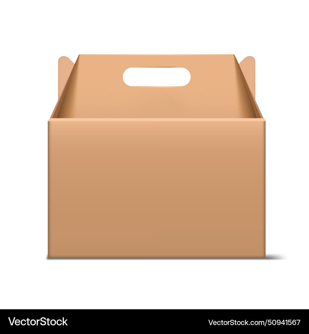 Brown cardboard box with handle isolated on white Vector Image