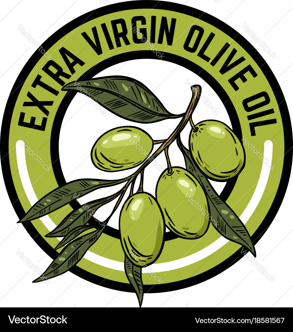 Extra virgin olive oil emblem with branch Vector Image