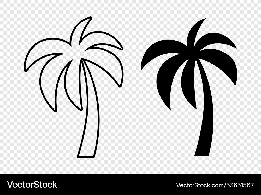 Palm trees palm tree icon set isolated palm Vector Image