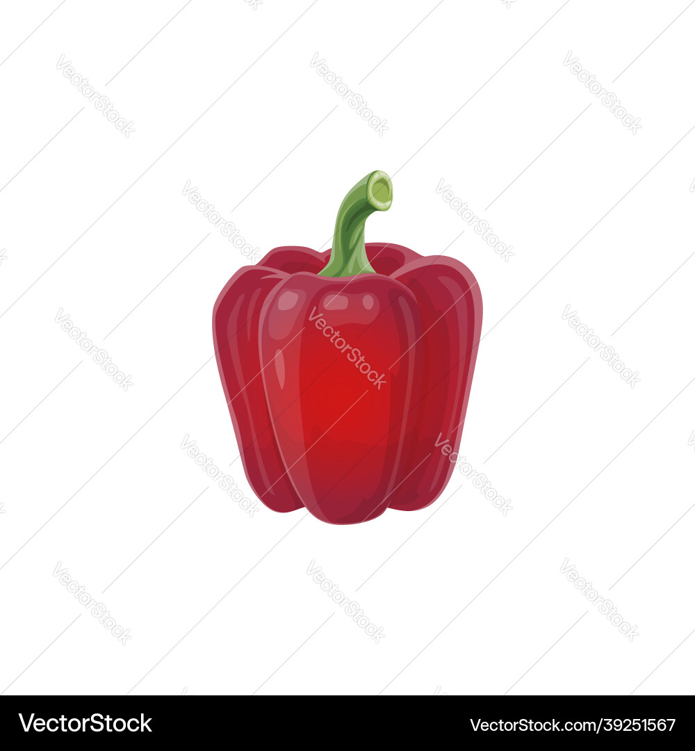 Red bell pepper natural garden vegetable Vector Image