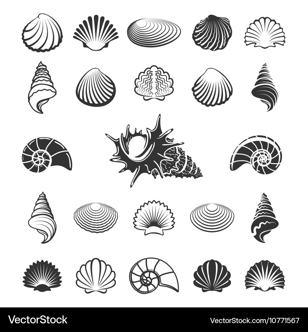 Sea shell silhouettes Royalty Free Vector Image