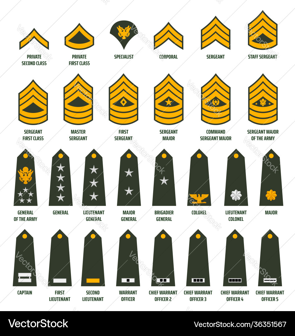 United States Army Enlisted Rank Insignia Military Insignia Army