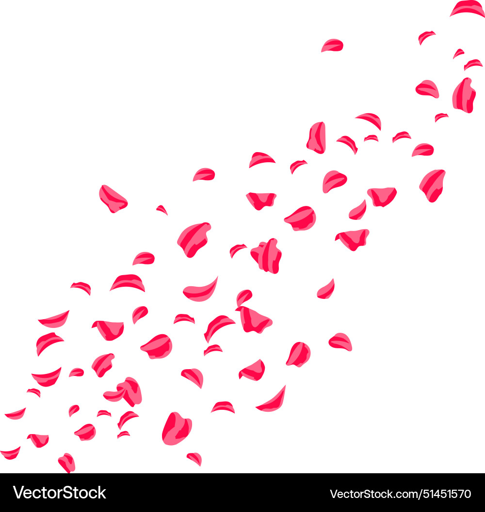 Cherry blossom petals falling flower Royalty Free Vector