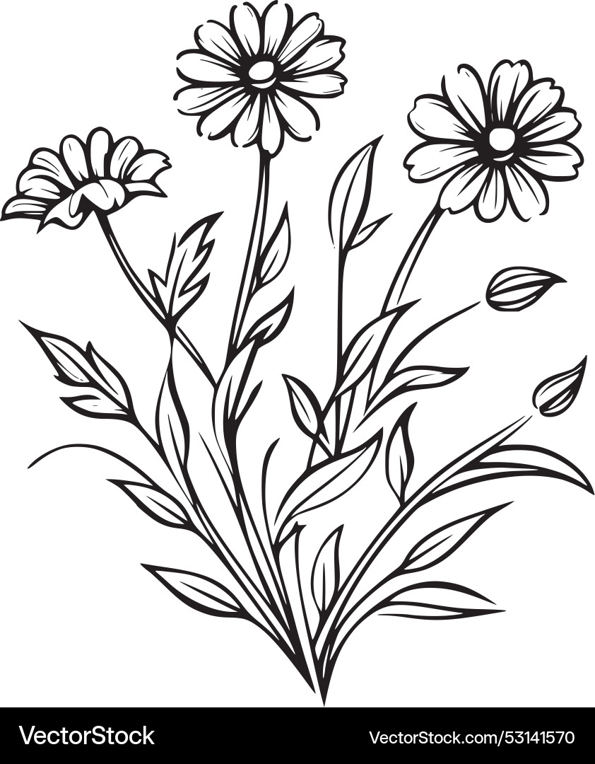 Flower Royalty Free Vector Image - VectorStock