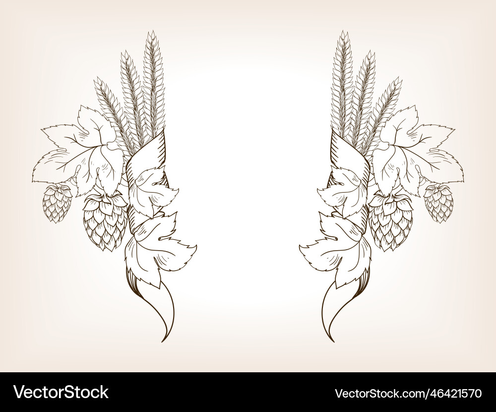 Hop branch hand drawn sketch Royalty Free Vector Image