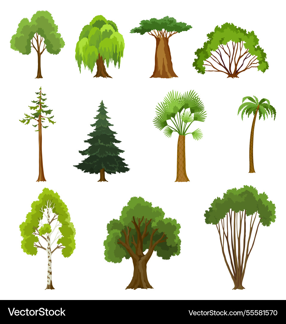 Kind of tree icon set various coniferous Vector Image