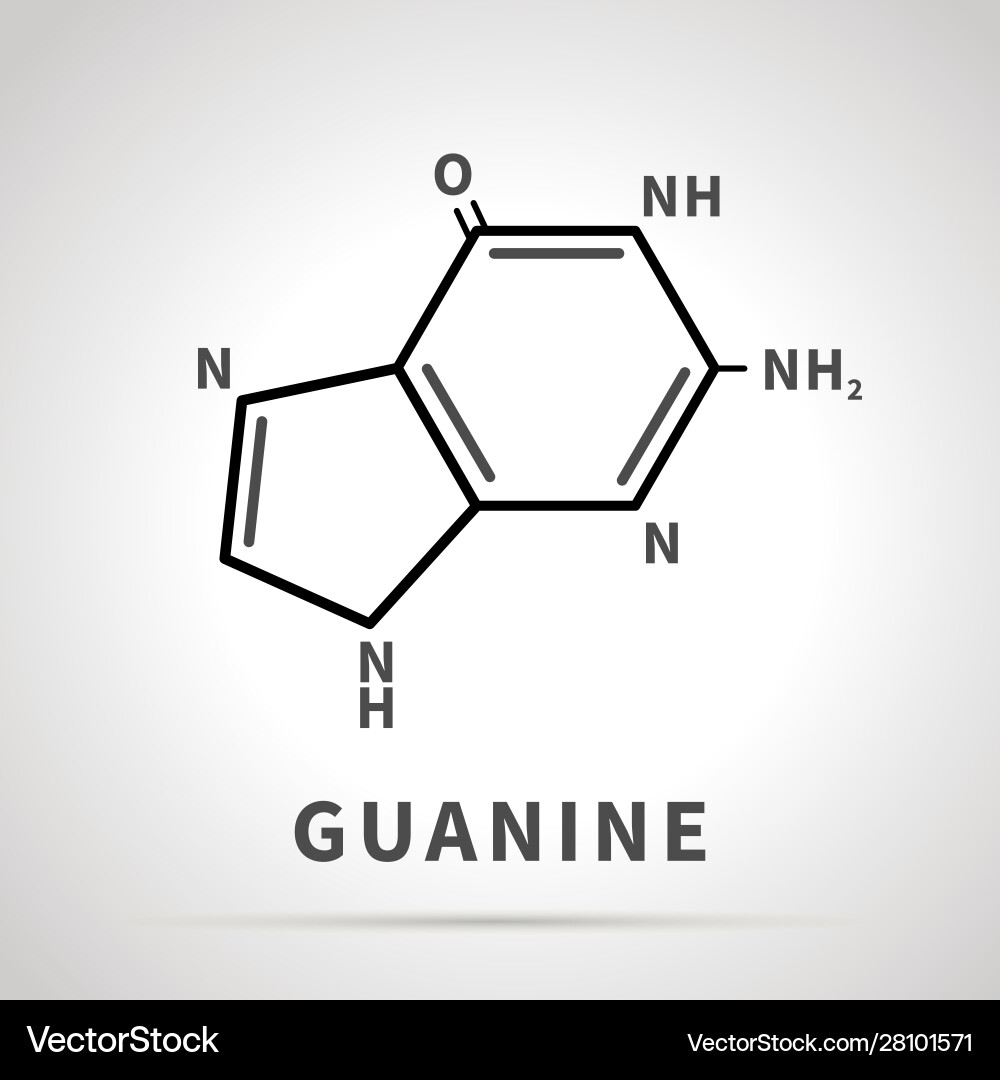 Chemical structure guanine one four Royalty Free Vector