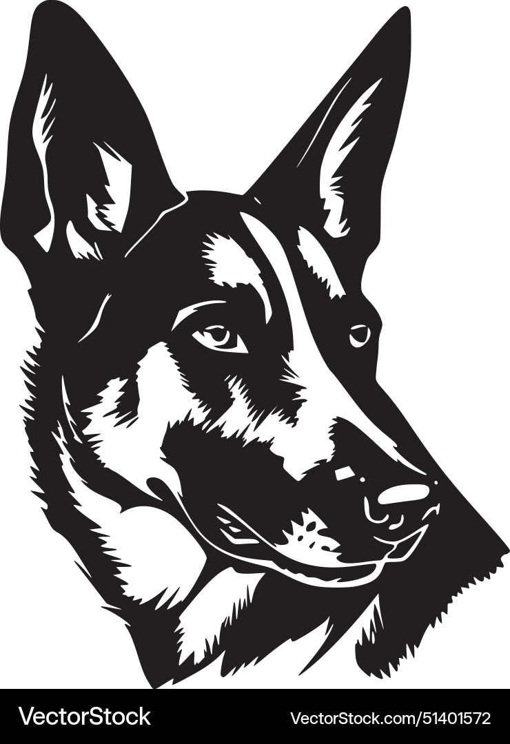 Australian kelpie - high quality logo - ideal for Vector Image