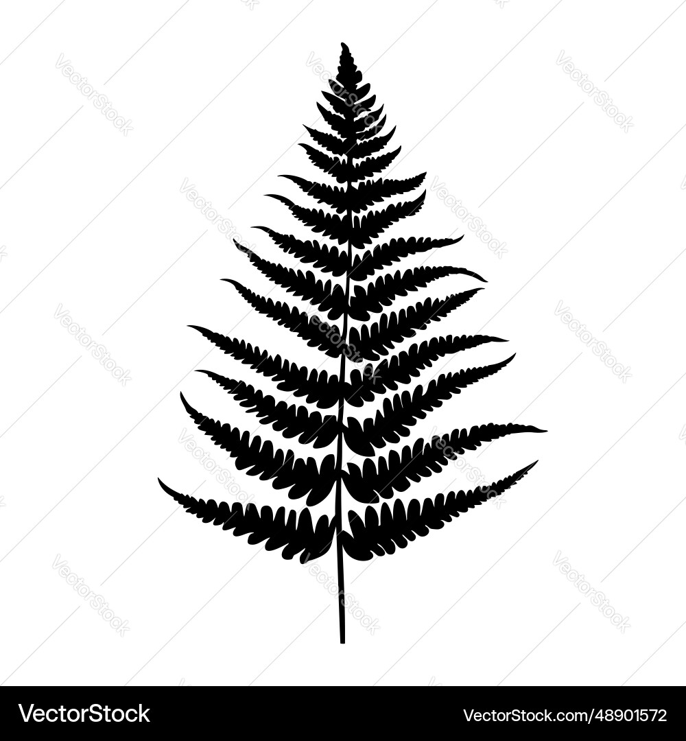 Fern leaf silhouette Royalty Free Vector Image